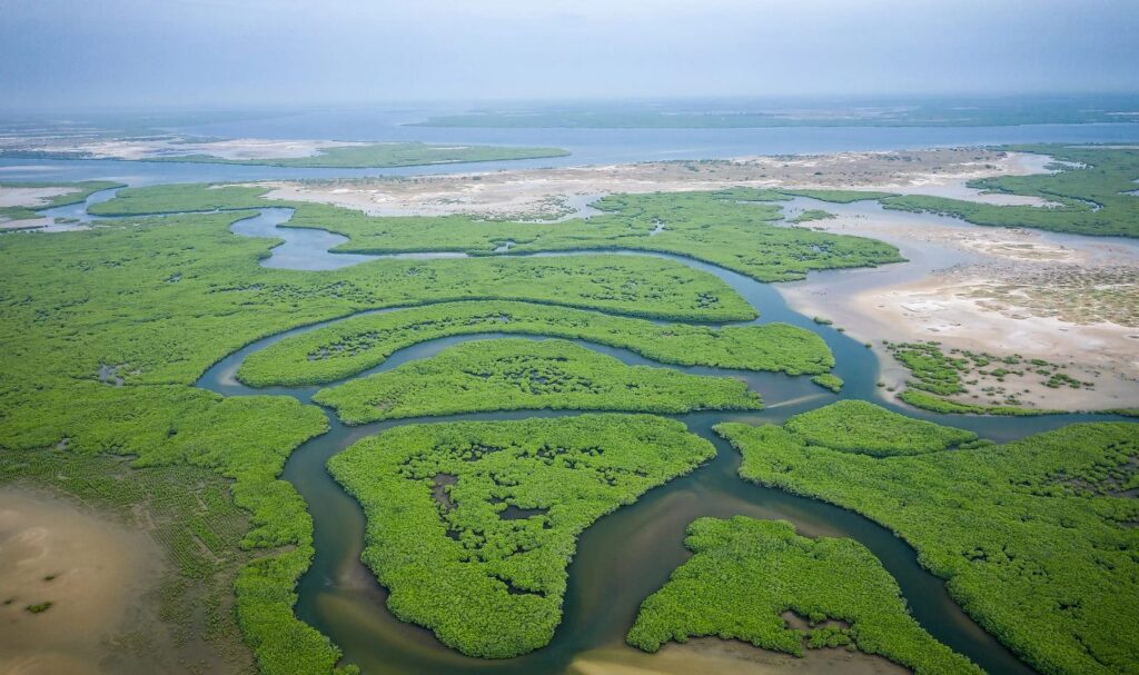 THE GAMBIA - Encyclopaedia Africana