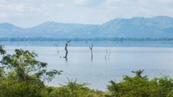 LAKE VICTORIA - Encyclopaedia Africana