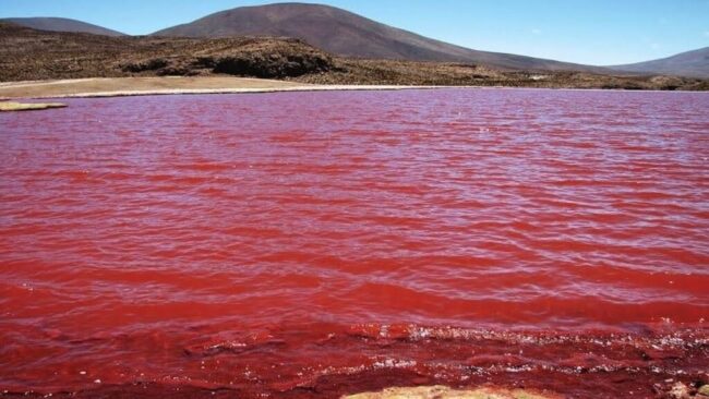 THE RED SEA - Encyclopaedia Africana